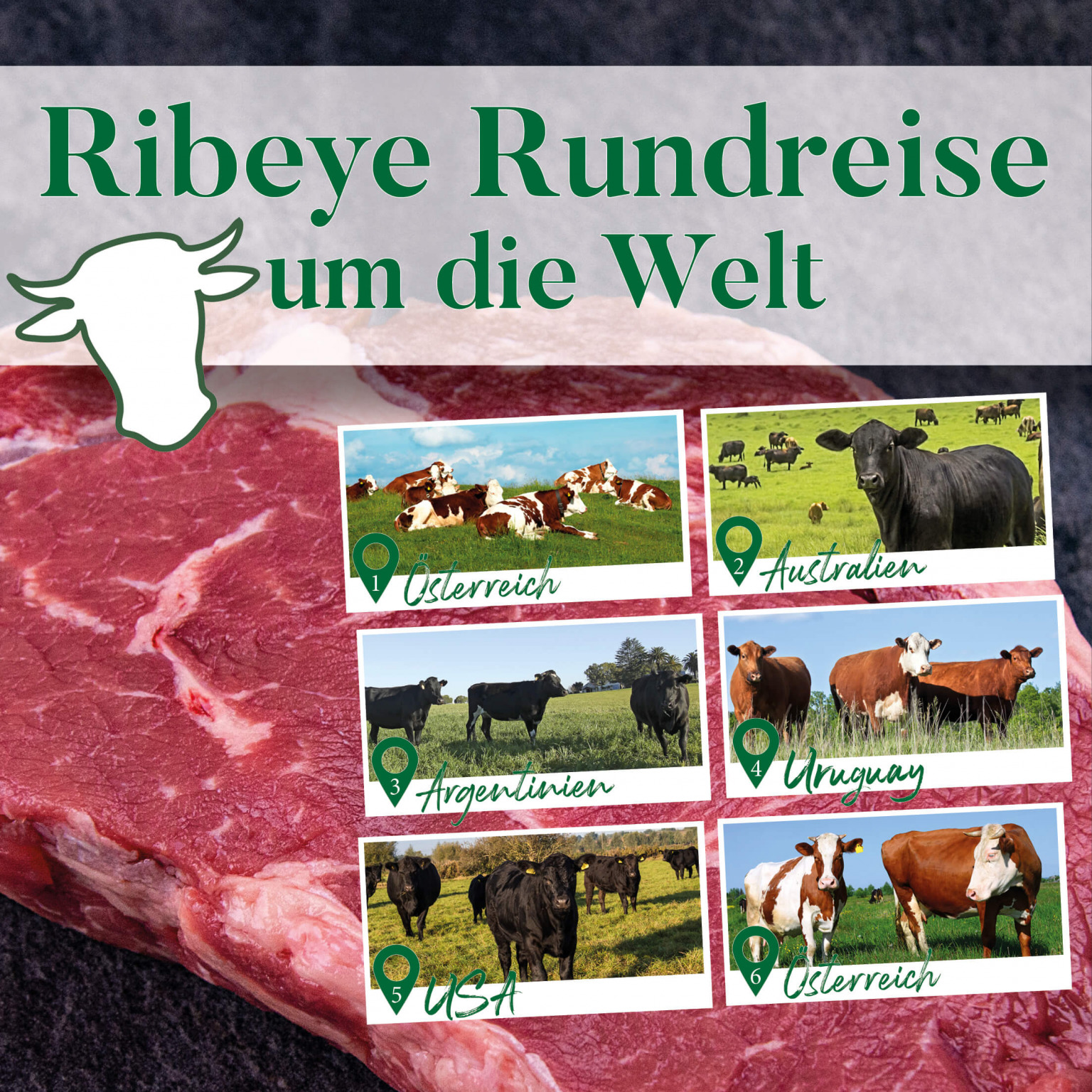 Ribeye Rundreise, bestes Rib Eye Fleisch 5 Kg, online bestellen